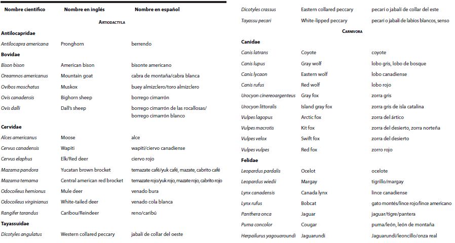 Spanish and English Vernacular Names of Mammals of North America