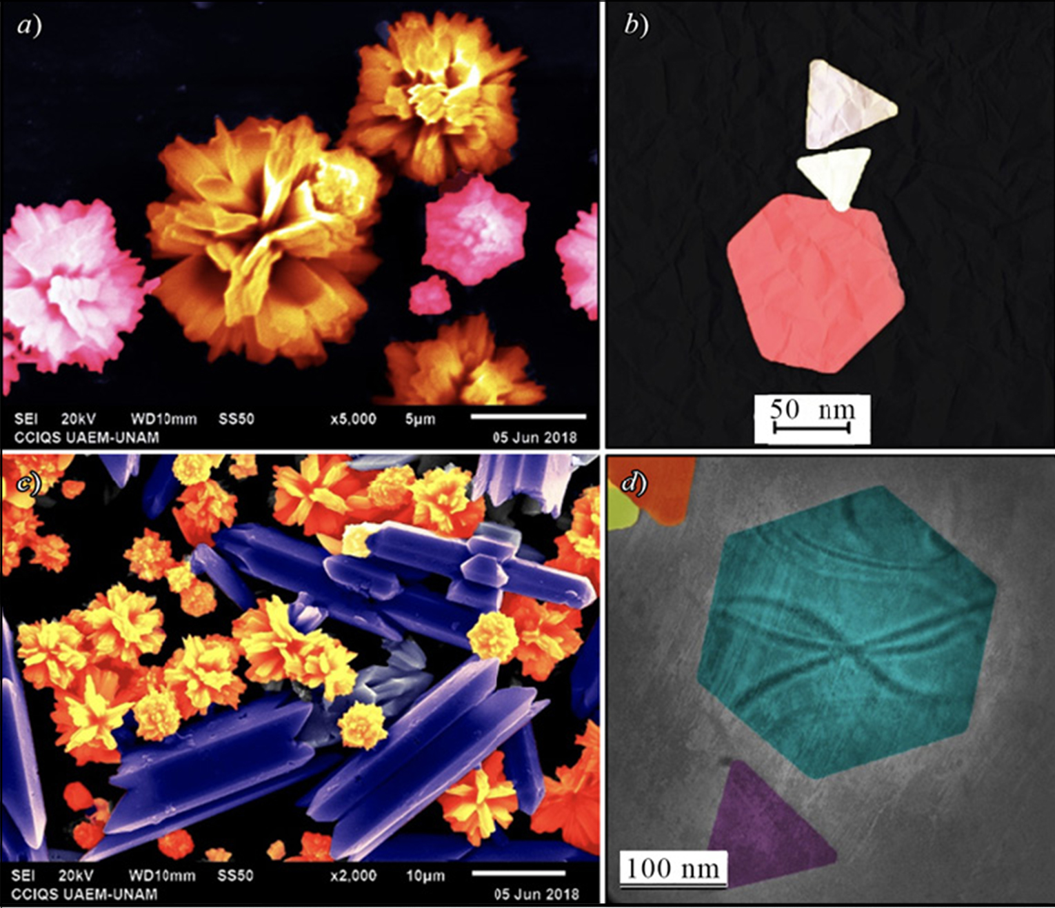 El microscopio bajo mis manos: breve historia, funcionamiento y ...