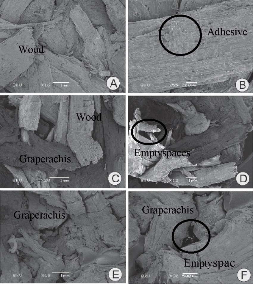 Grape rachis in composites manufacturing