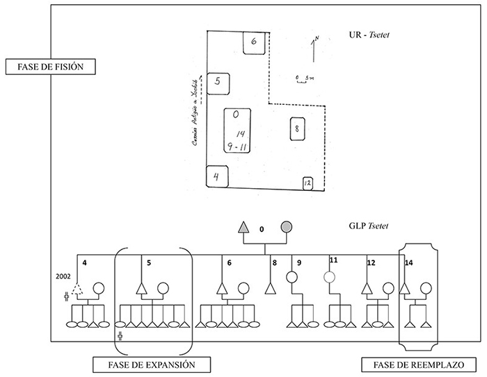 Prácticas de parentesco y configuración de espacios colectivos de vida ...