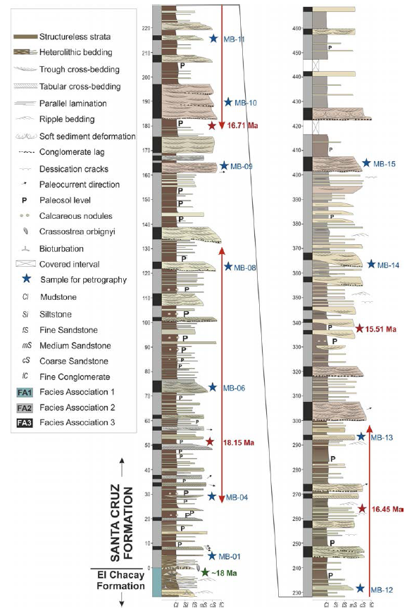 Sedimentology and fossil vertebrates of the Santa Cruz Formation (early ...