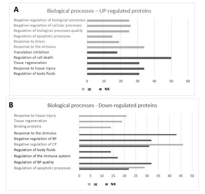 Study of comparative proteome between normal and inverted karyotypes of ...