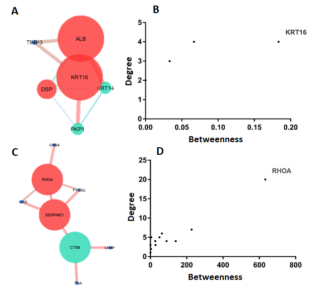 Study of comparative proteome between normal and inverted karyotypes of ...