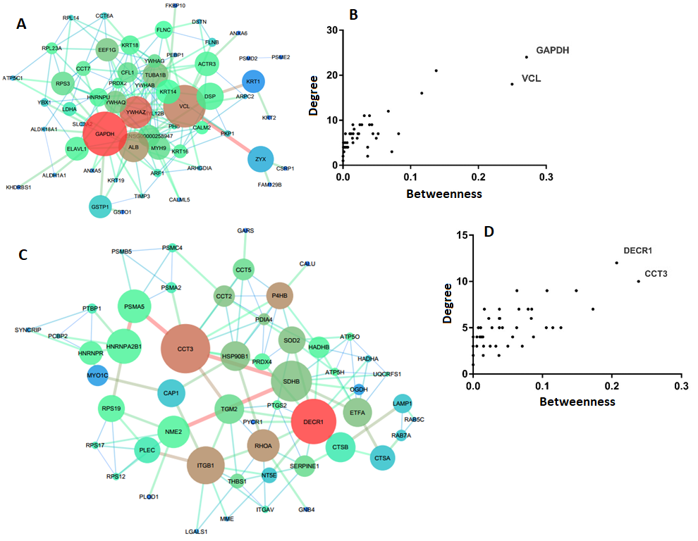 Study of comparative proteome between normal and inverted karyotypes of ...