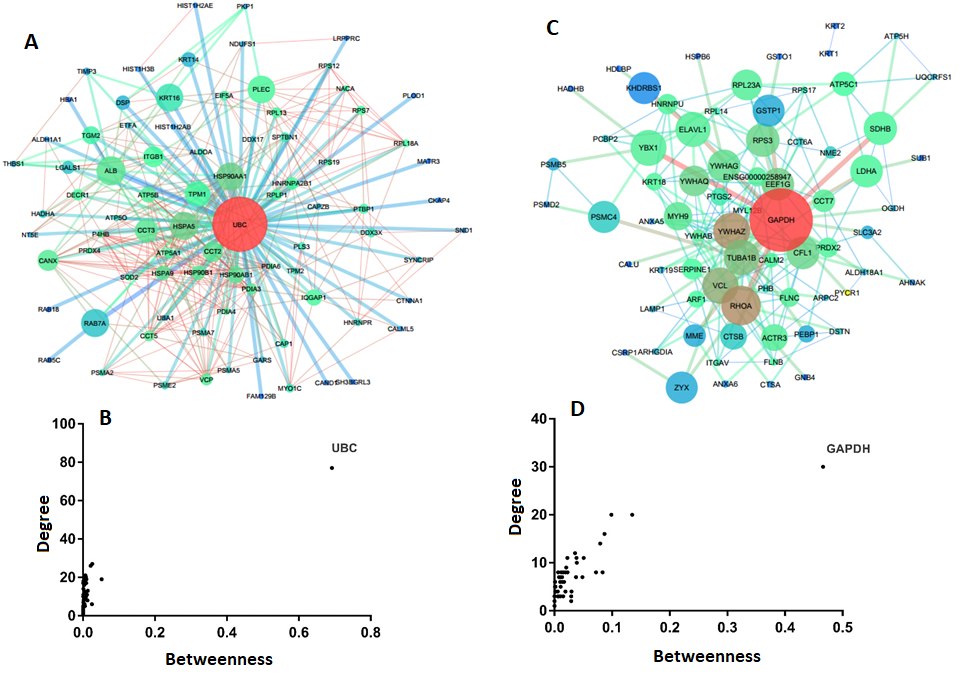 Study of comparative proteome between normal and inverted karyotypes of ...