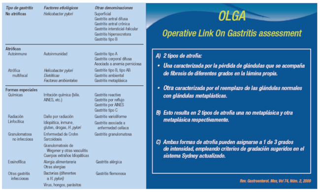 Estómago normal y patológico