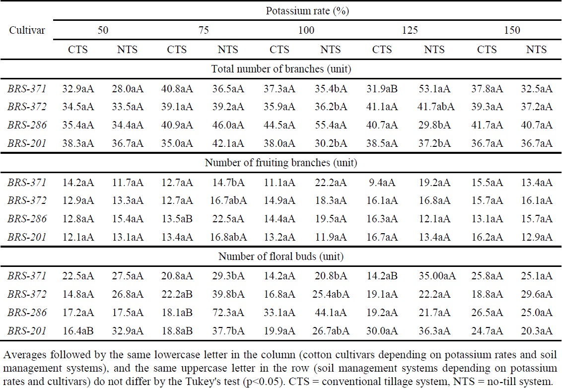 POTASSIUM FERTILIZATION AND SOIL MANAGEMENT SYSTEMS FOR COTTON CROPS1