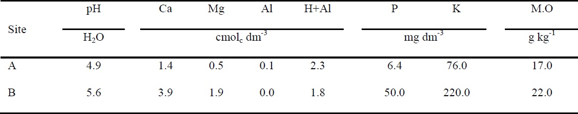 PERFORMANCE OF INOCULATED COMMON BEAN IN RESPONSE TO DIFFERENT COVER ...
