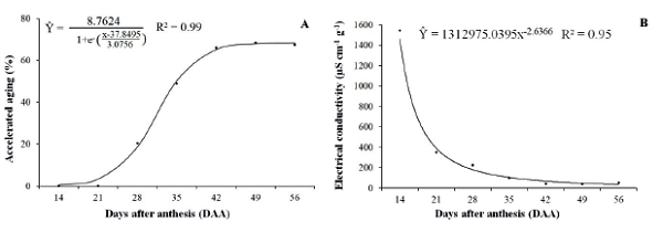 Fruit maturation stage on the physiological quality of maroon cucumber ...