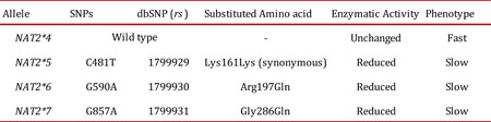 NAT2 gene polymorphisms in three indigenous groups in the Colombian ...