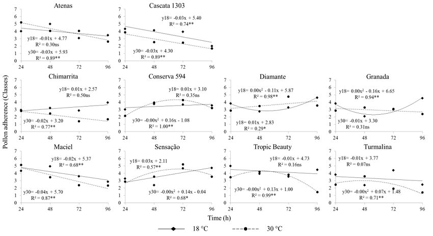 Stigmatic receptivity of peach flowers submitted to heat stress