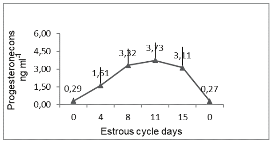 Reproductive cycles in white Karaman ewes: comparison of ovarian ...