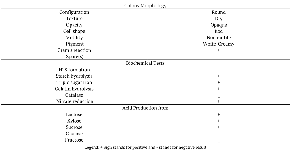 Facilitating the gut brain axis by probiotic bacteria to modulate ...