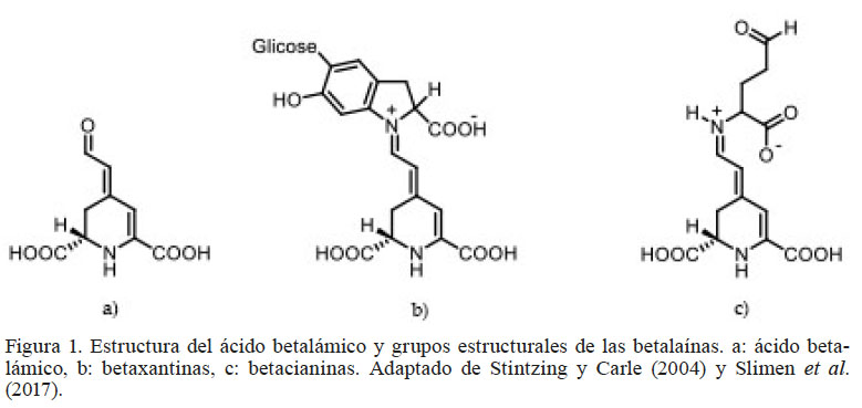 ESTRUCTURA Y ESTABILIDAD DE LAS BETALAÍNAS