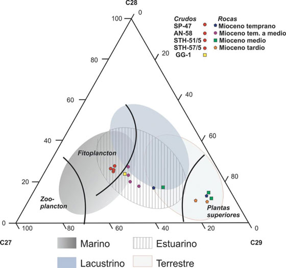Correlación geoquímica entre crudos y rocas del sistema petrolero de la ...