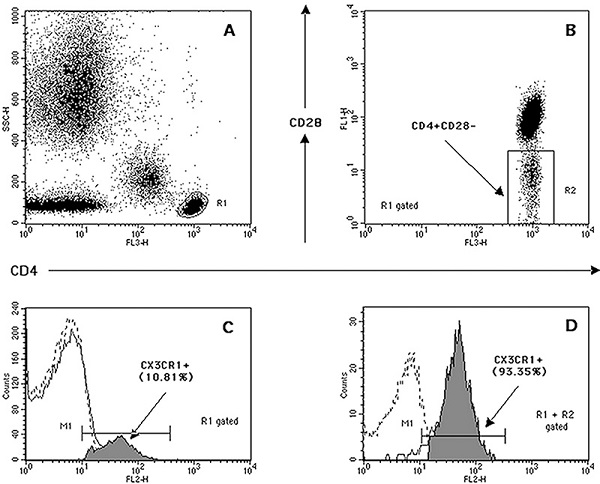Relationships Between Phenotype and Function of Blood CD4+ T-Cells and ...