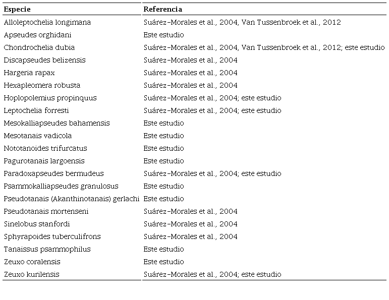 Biodiversidad de los tanaidáceos (Crustacea: Peracarida: Tanaidacea ...