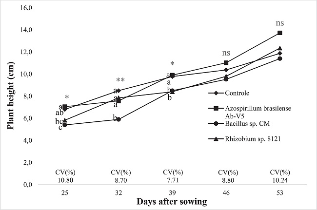 Growth-promoting bacteria change the development of aerial part and ...