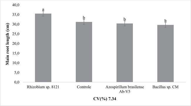 Growth-promoting bacteria change the development of aerial part and ...