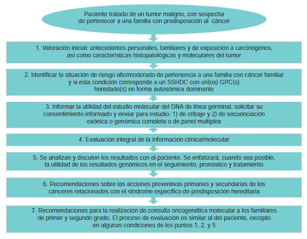 Utilidad de la consulta oncogenética molecular en individuos adultos ...