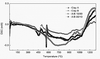 Physico-chemical characterization of clay mineral mixtures from Boyacá ...