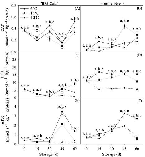 Mitigation of chilling injury in sweet potato roots subjected to low ...