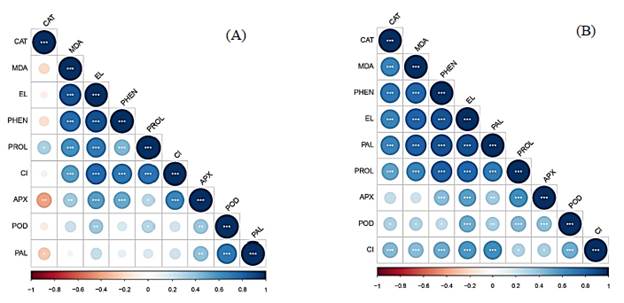 Mitigation of chilling injury in sweet potato roots subjected to low ...