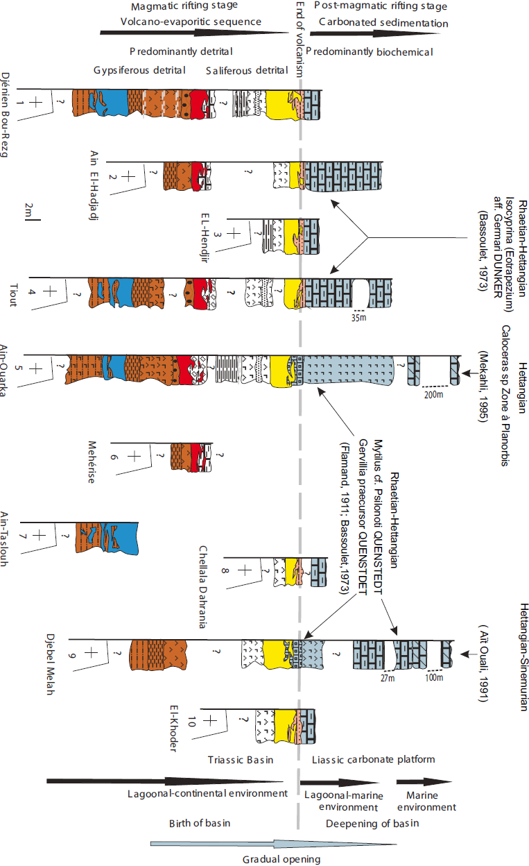 The Triassic-Liassic volcanic sequence and rift evolution in the ...