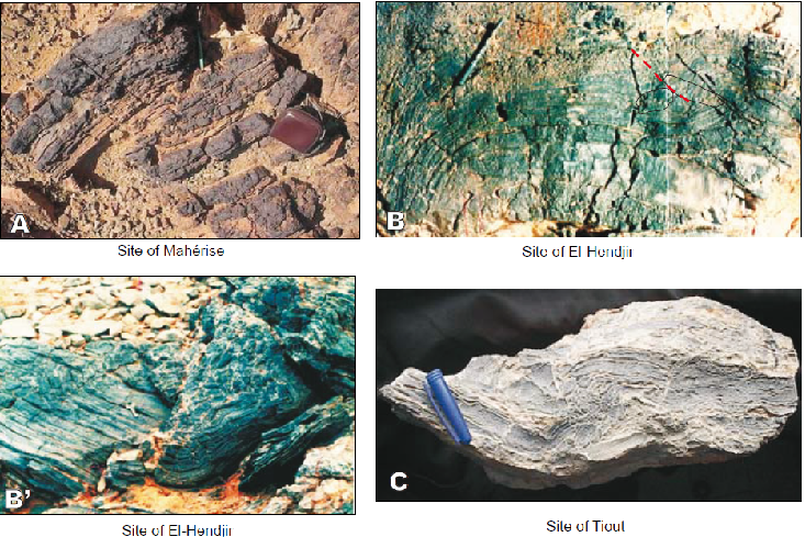 The Triassic-Liassic volcanic sequence and rift evolution in the ...