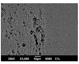 Influencia del homogeneizado previo al laminado en frío en la ...