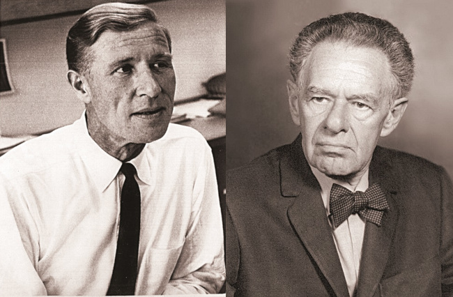 Science and political ideology: The example of Nazi Germany