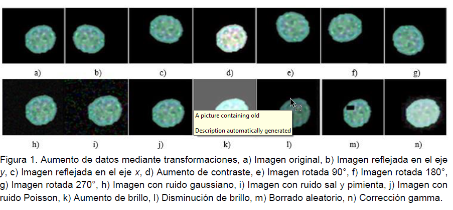 Clasificación de parásitos en imágenes de copro con transferencia de ...