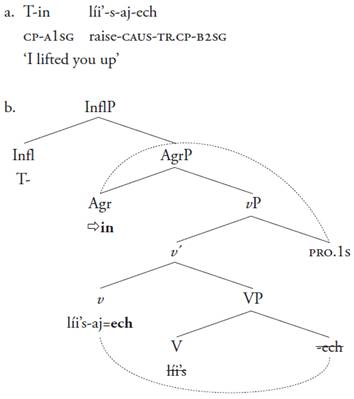 The syntax of non-verbal predication in Yucatec Maya