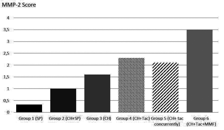 The effects of tacrolimus and mycophenolate mofetil on regression of ...