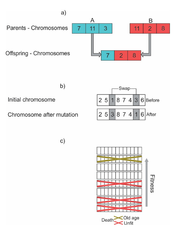 Generator of genetic seismic signals