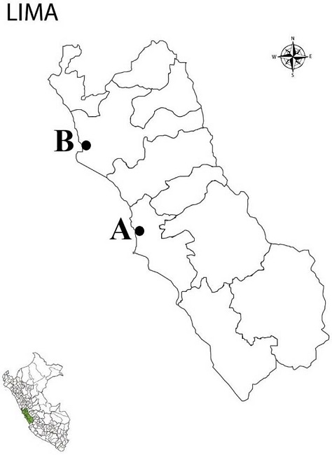 Ecofisiología de Sarcocornia neei (Amaranthaceae) proveniente de dos ...