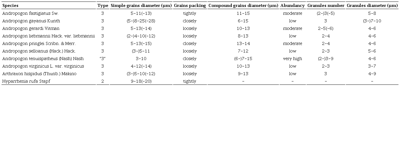 Endosperm starch grains of Andropogon, Arthraxon hispidus, and ...