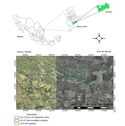 Caracterización fisicoquímica de un Calcisol bajo diferentes sistemas ...