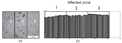 System for the recognition of wear patterns on microstructures of ...