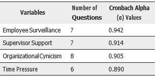 Analysis of the Effects of Time Pressure and Supervisor Support on ...