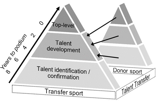 Talent transfer: A systematic review