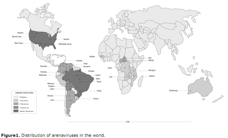 Arenavirus Infections