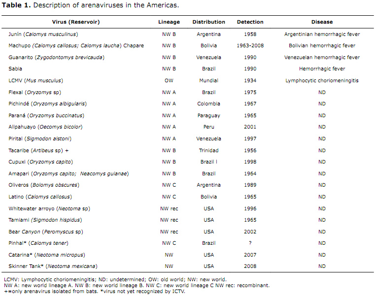 Arenavirus Infections