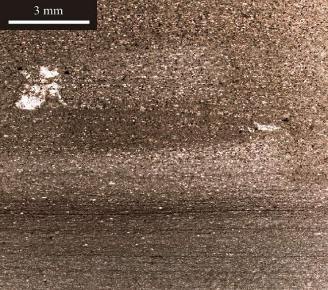 Microfacies and stable isotope analyses from the Carboniferous of the ...